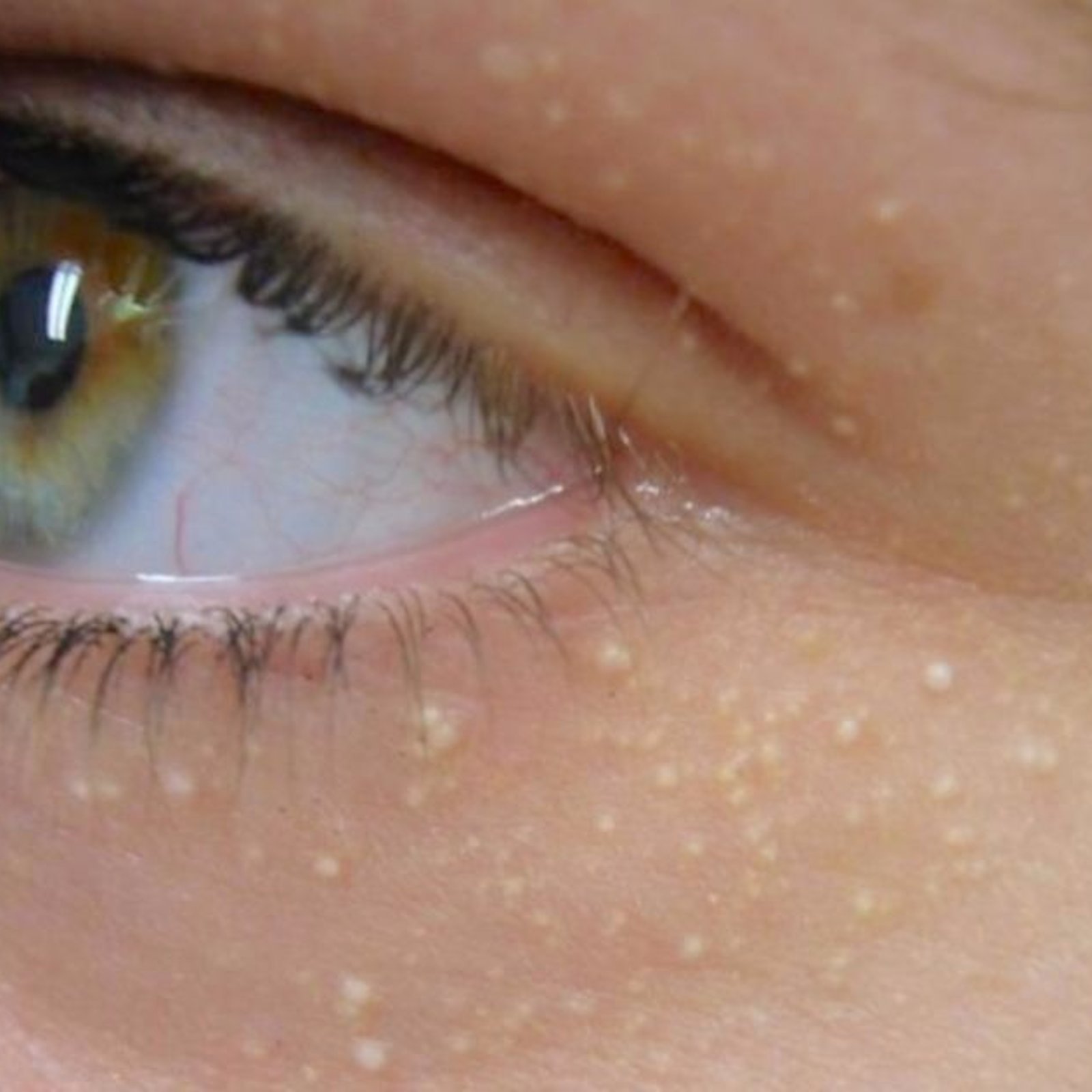 20 astuces de rangement pour un garage bien rangé! - Trucs et Bricolages