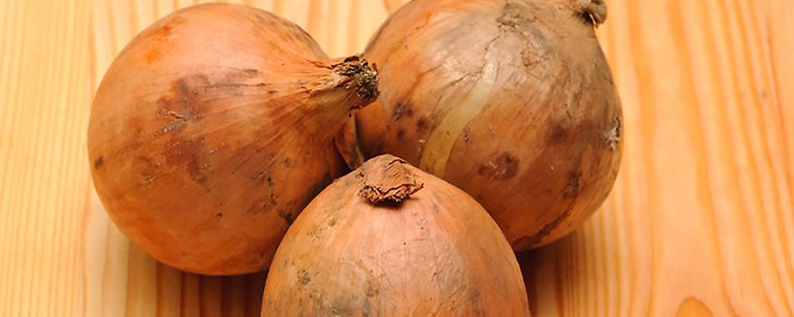 Conserver vos oignons frais et sans germes pendant des mois... - Ma ...