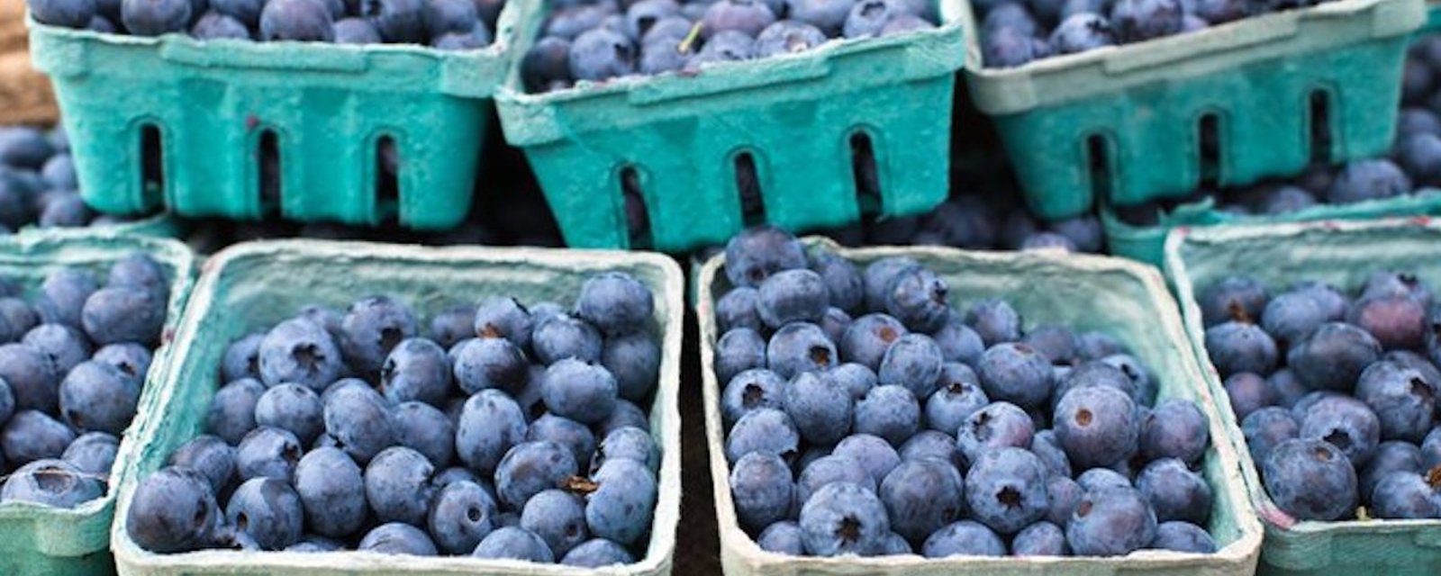 C’est la saison des bons bleuets du Québec! Voici un outil pour savoir ...