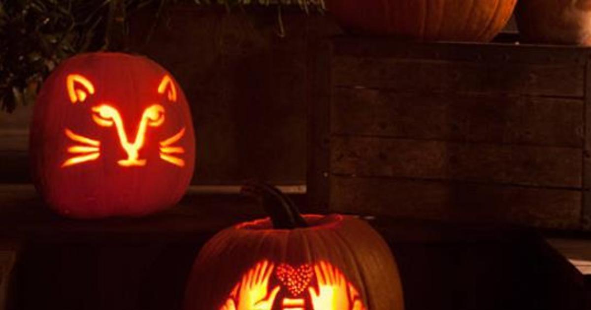 Une méthode pour apprendre à sculpter les plus belles citrouilles d ...