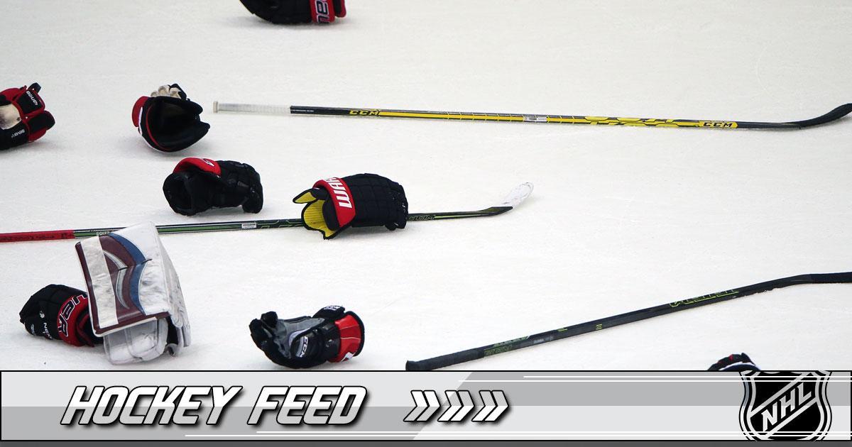 NHL affiliate team unveils new logo! - HockeyFeed