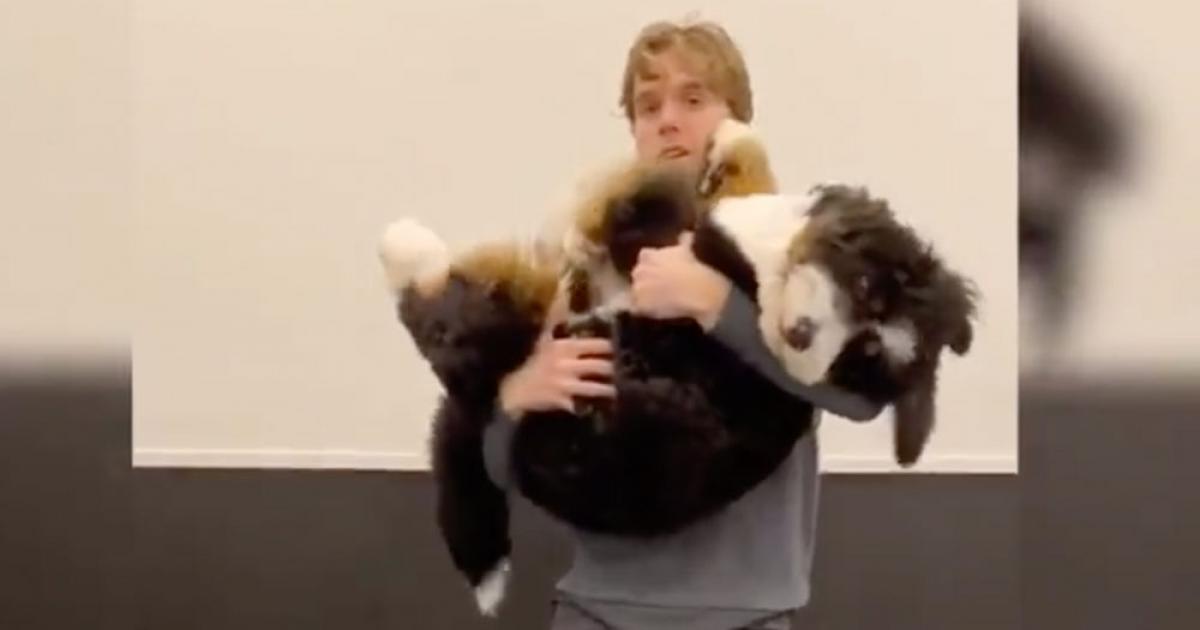 Outraged fans accuse Connor McDavid of animal cruelty! - HockeyFeed