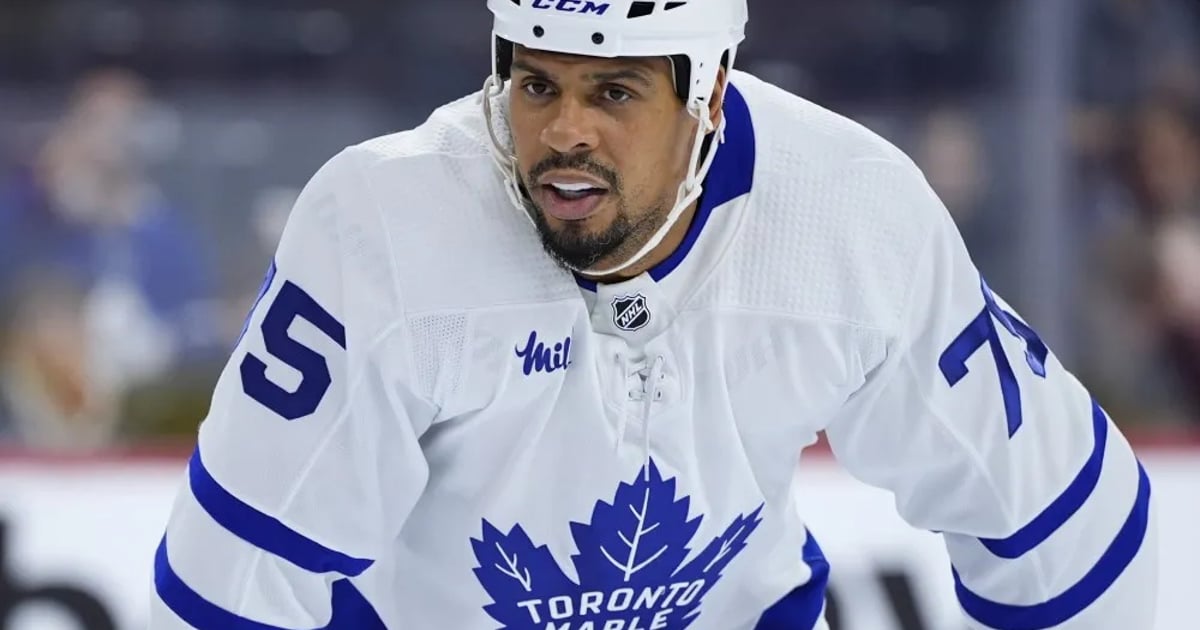 Ryan Reaves hits rock bottom in the AHL… - HockeyFeed