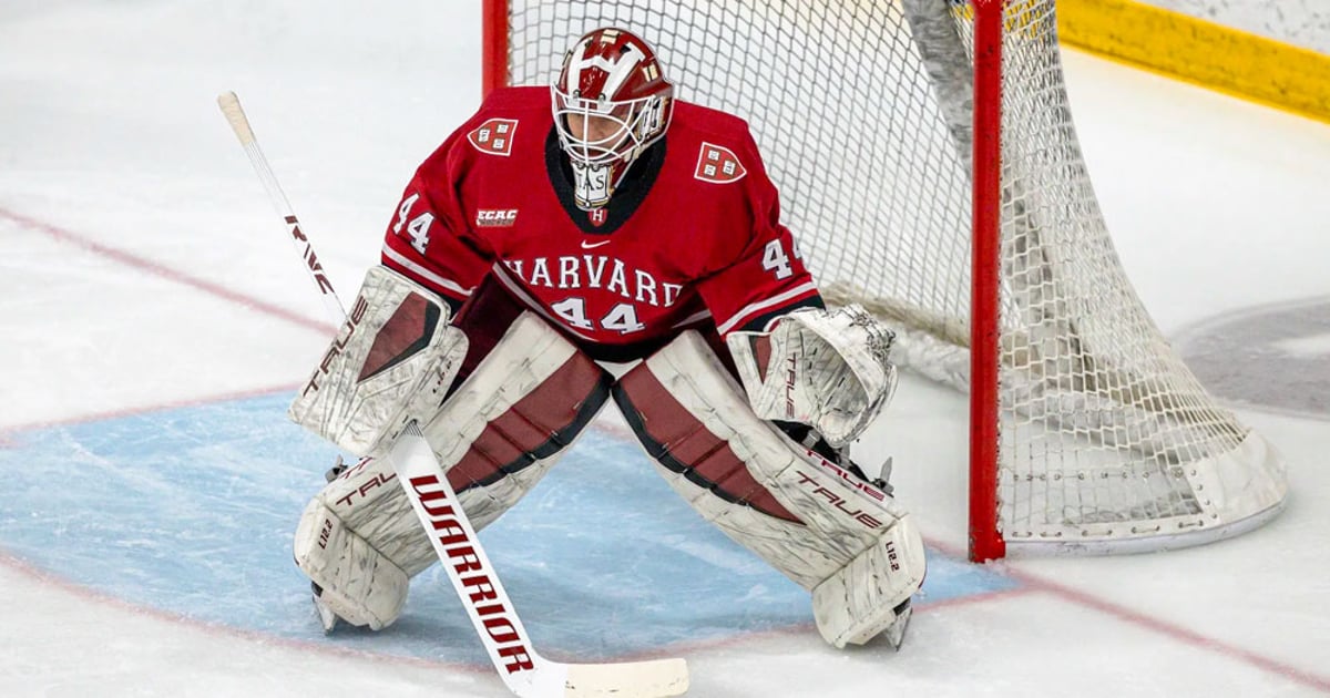NCAA star Mitchell Gibson leaves college early, signs an NHL deal ...