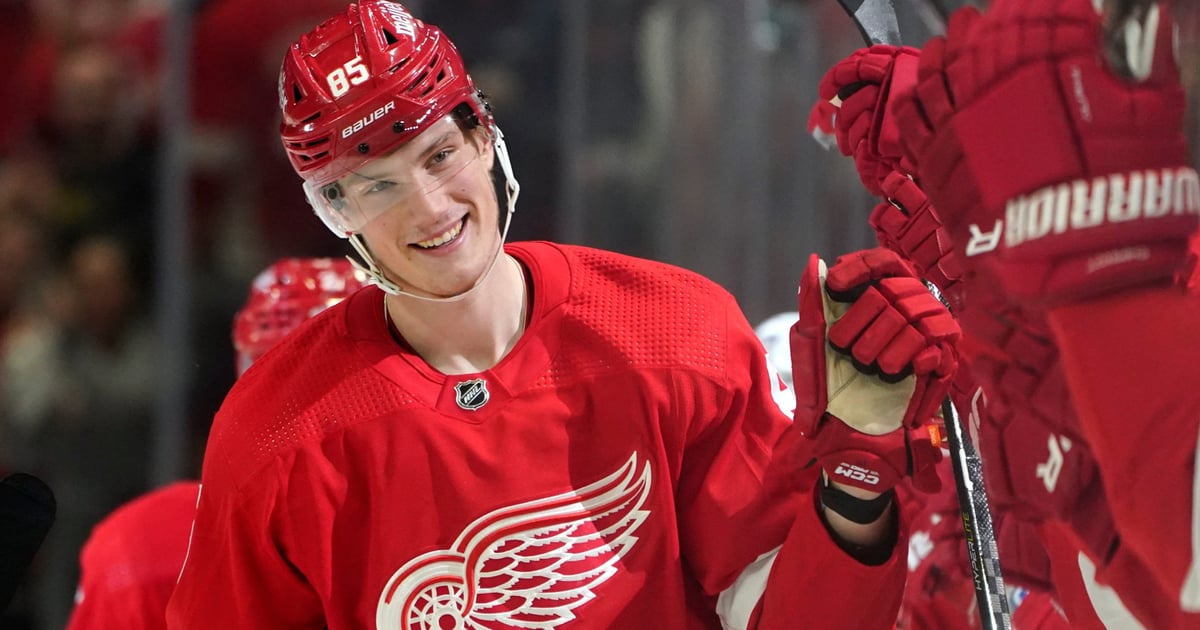 Latest update on Elmer Soderblom isn't encouraging - HockeyFeed