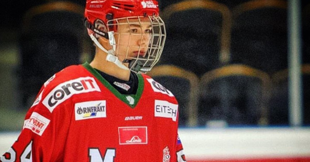 Red Wings sign D prospect William Wallinder - HockeyFeed