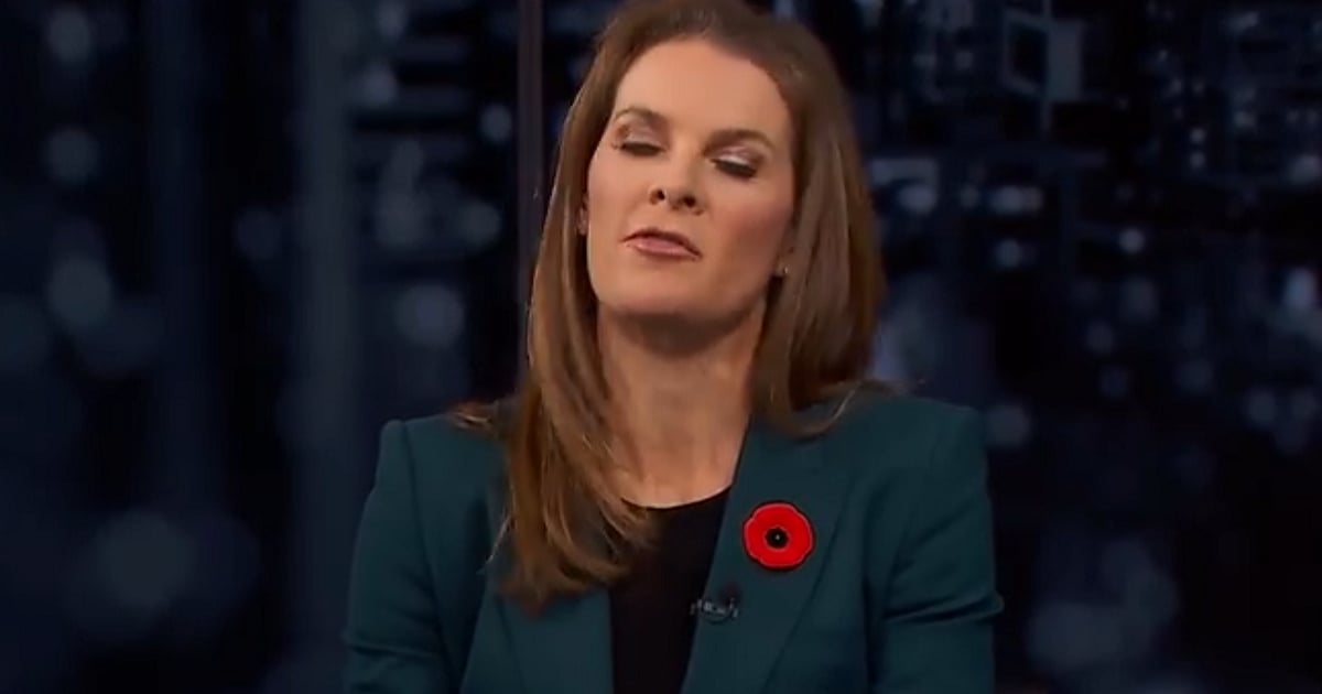 Jennifer Botterill slammed by fans after heated exchange on Hockey ...