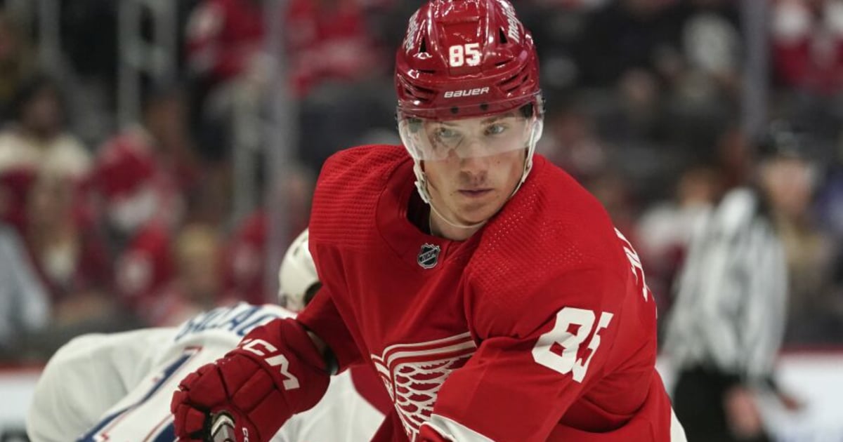 Red Wings announce latest Elmer Soderblom update - HockeyFeed