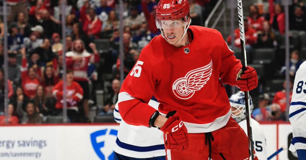 Crucial update released on Elmer Soderblom - HockeyFeed