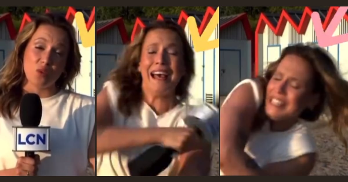 Une guêpe pique Géraldine Lamarche en direct à Salut Bonjour et les téléspectateurs réagissent ...