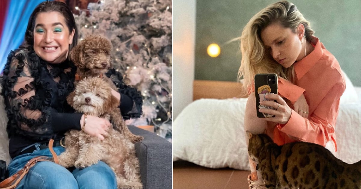 10 célébrités avec leur magnifique animal de compagnie - Monde de Stars