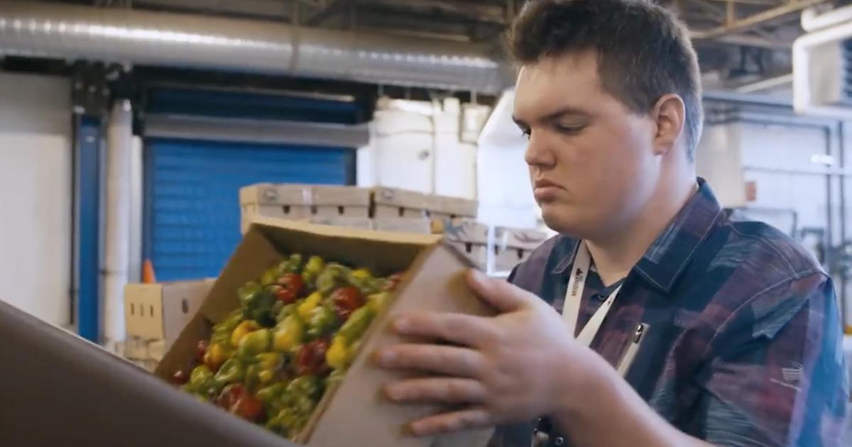 À VOIR | Mathis Lafortune laisse les caméras le suivre à son boulot ...
