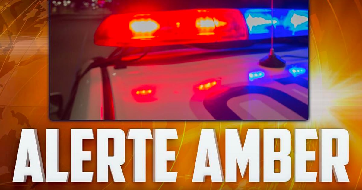 Voici ce que l'on sait sur l'Alerte Amber qui a réveillé de nombreux ...