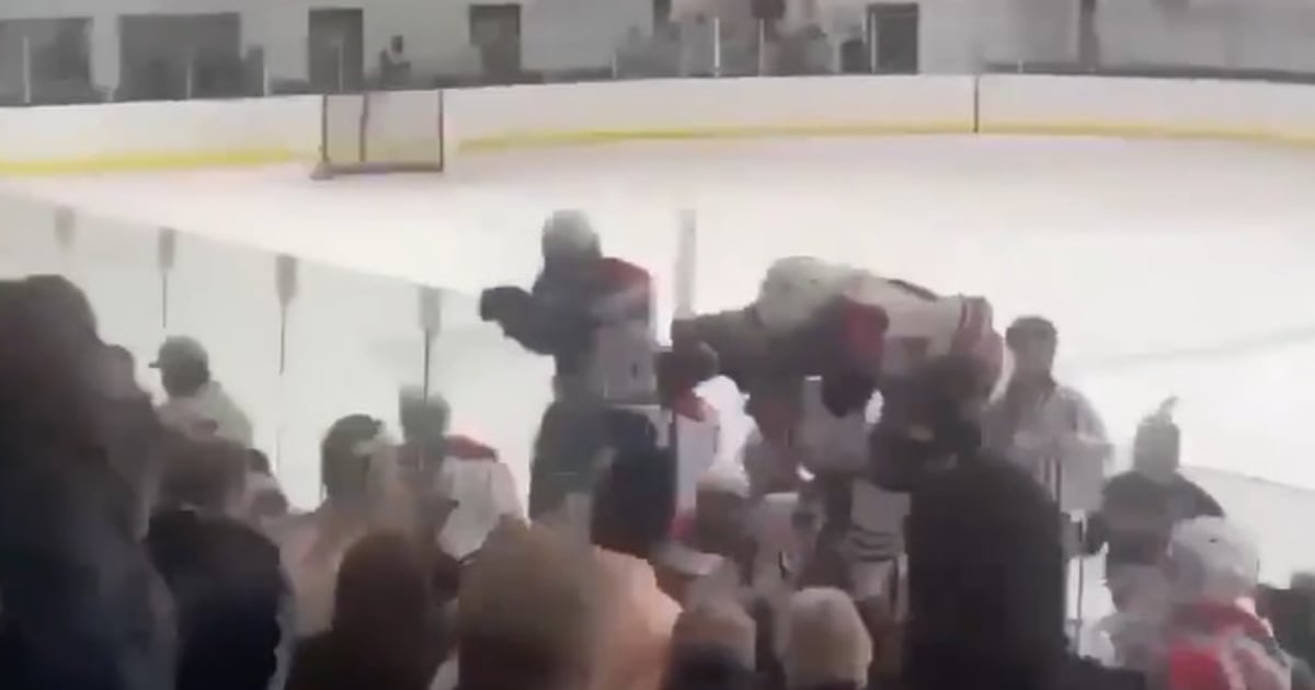 HOCKEY MINEUR: Une violente bagarre éclate dans les estrades et se ...