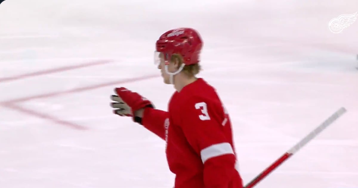 Red Wings' Simon Edvinsson credited with 1st NHL goal! - HockeyFeed
