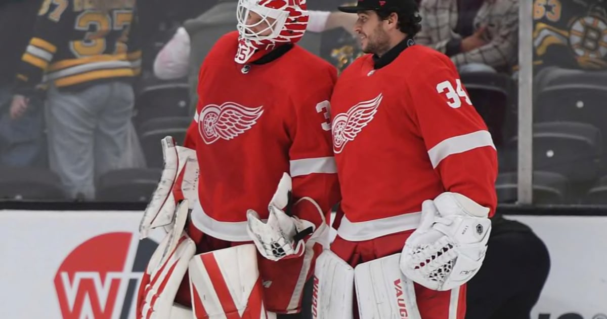 Red Wings confirm starting goaltender vs. Sens - HockeyFeed
