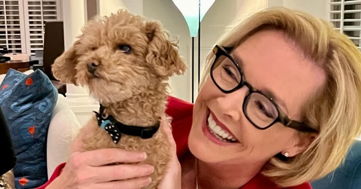 Sophie Thibault dévoile ses plans après son départ de TVA Nouvelles ...