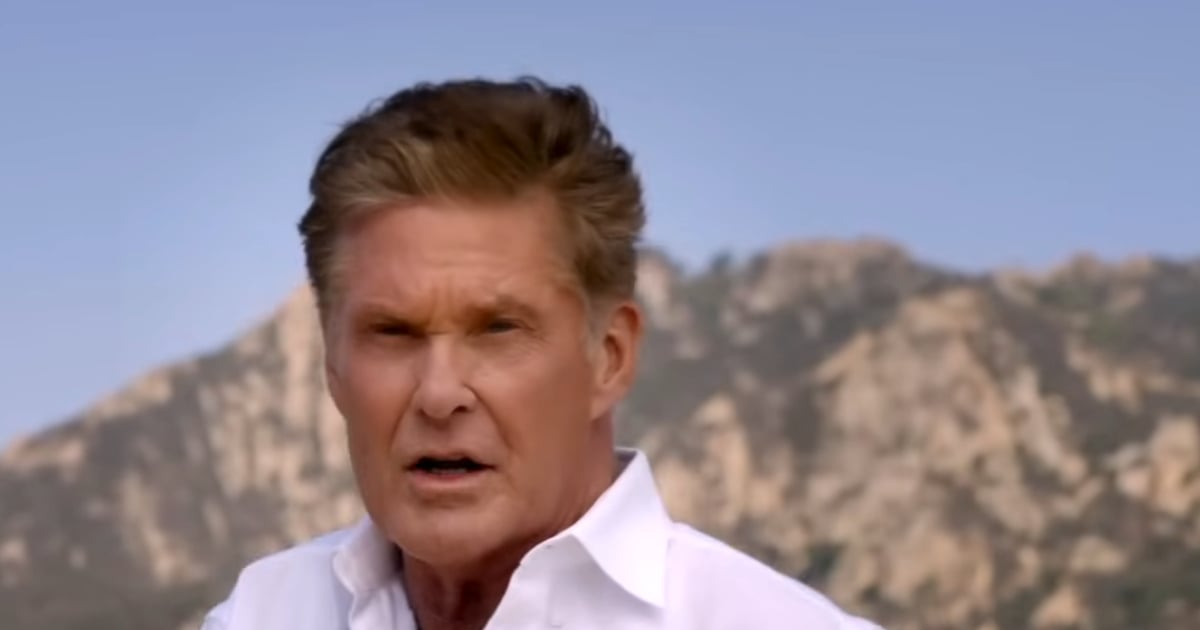 De nouvelles images de David Hasselhoff inquiètent grandement ses fans ...