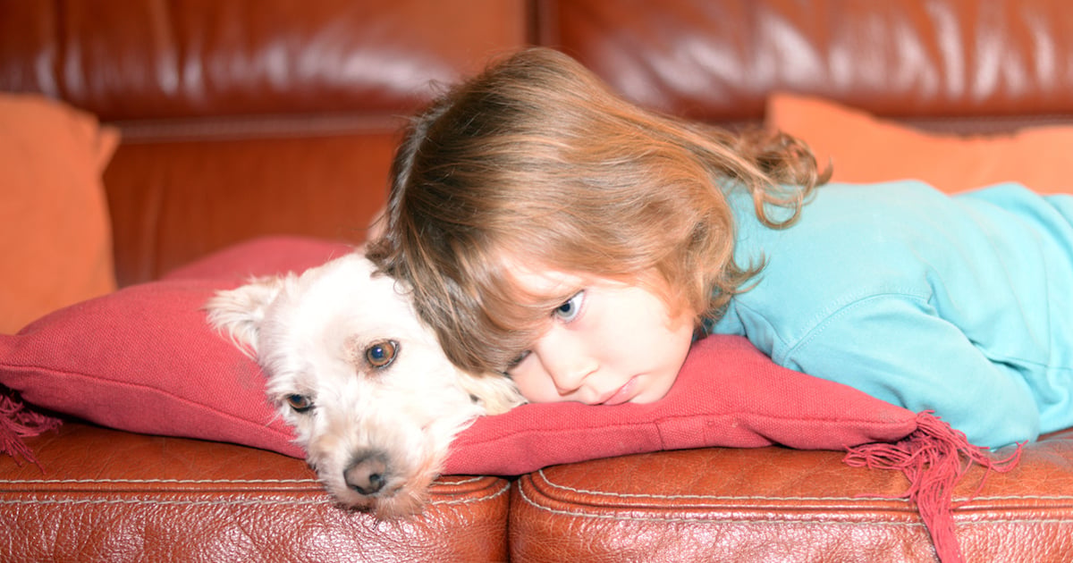 Les 9 meilleurs chiens pour aider un enfant autiste - Pas Bêtes du Tout